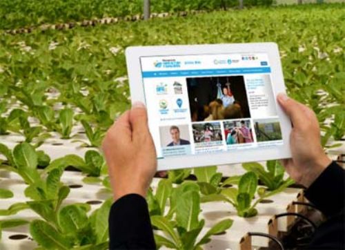 Nuevo curso virtual de Buenas Prácticas Agropecuarias